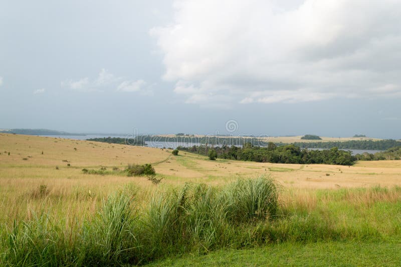 Parc National Douli, Congo De Conkouati De Lanscape De Mosaïque De La ...