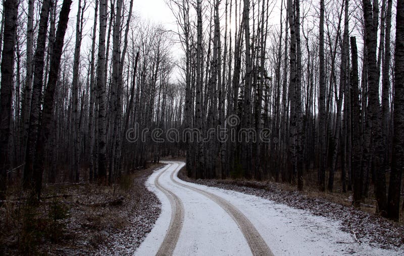 Parc National De Prince Albert Photo stock - Image du stationnement ...
