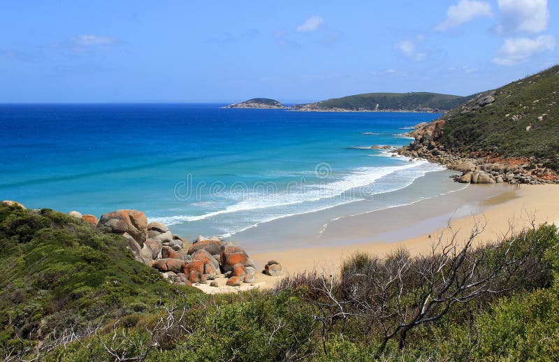 Parc National De Promontoire De Wilsons Image stock - Image du ...