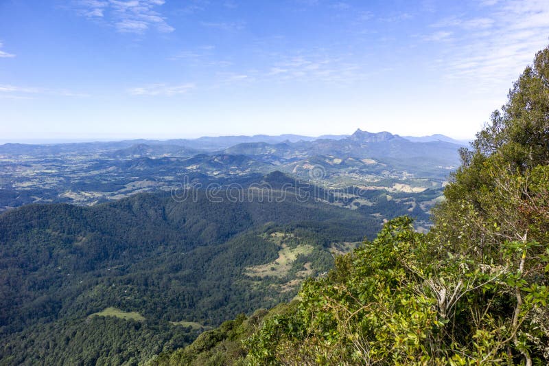 Parc National De Springbrook - Australie Du Queensland Image stock ...