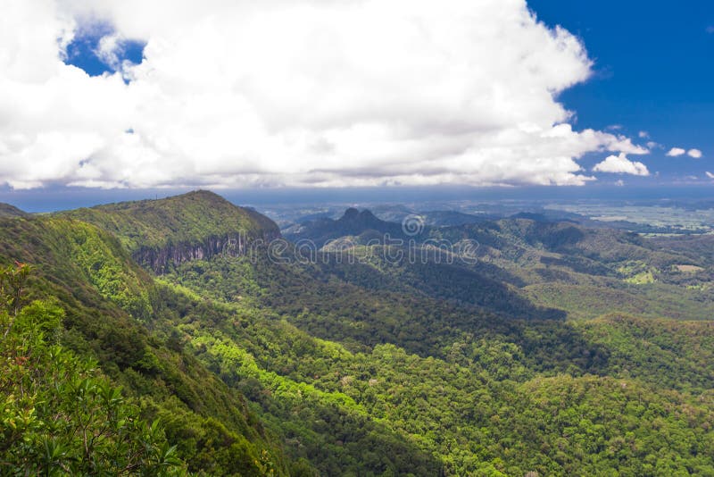 Parc National De Springbrook - Australie Du Queensland Image stock ...