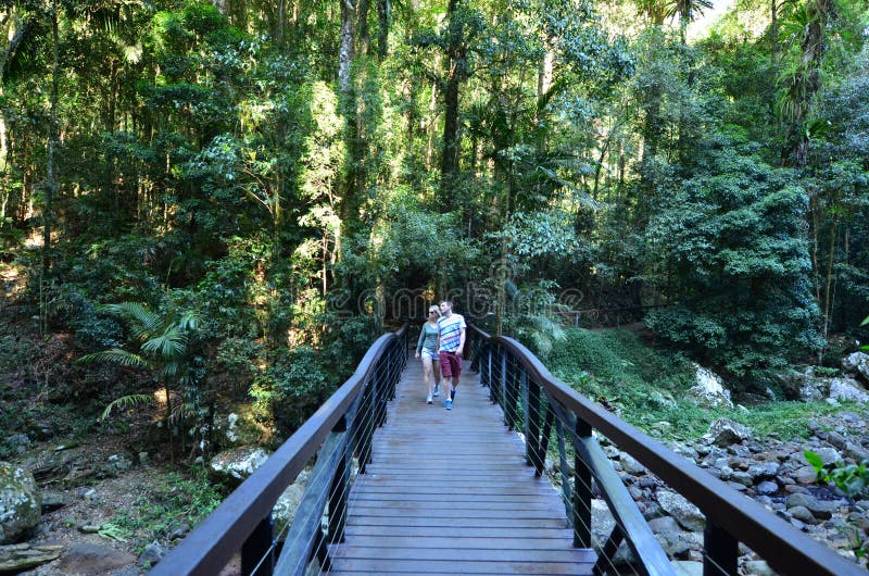 Parc National De Springbrook - Australie Du Queensland Image stock ...