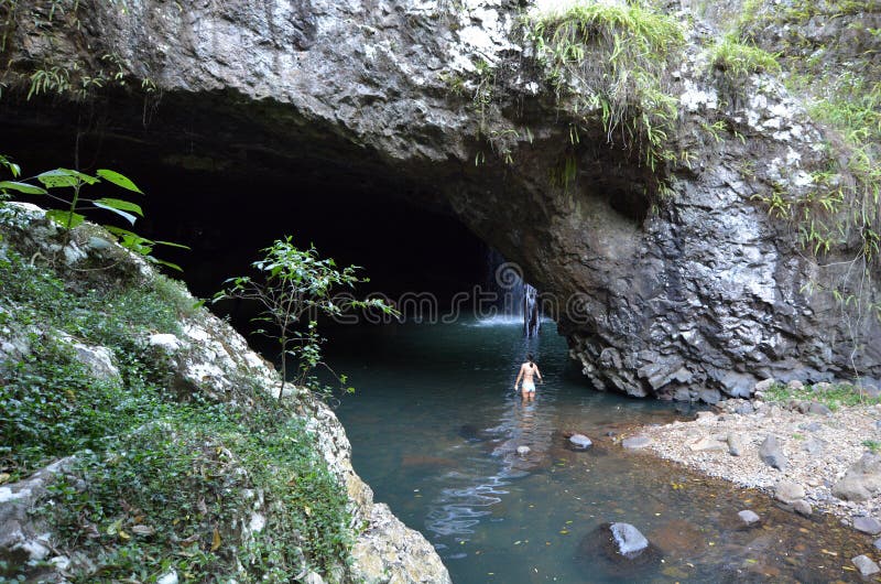 Parc National De Springbrook - Australie Du Queensland Image stock ...