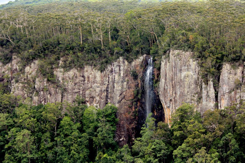 Parc National De Springbrook - Australie Du Queensland Image stock ...