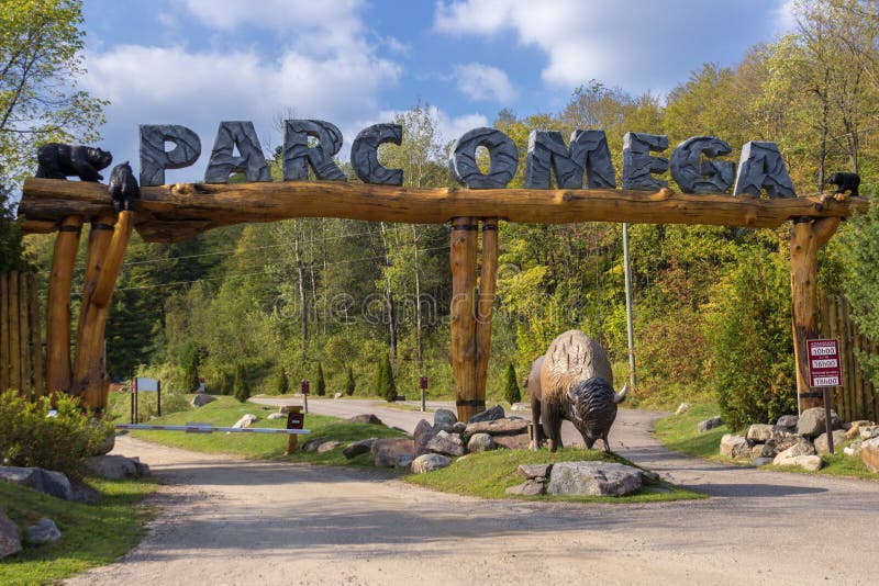 Parc Omega Canada stock photo. Image of standing, water - 116572336