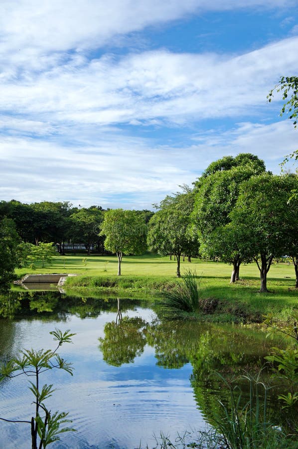 Parc vert de ville image stock. Image du ville, vert - 33750861