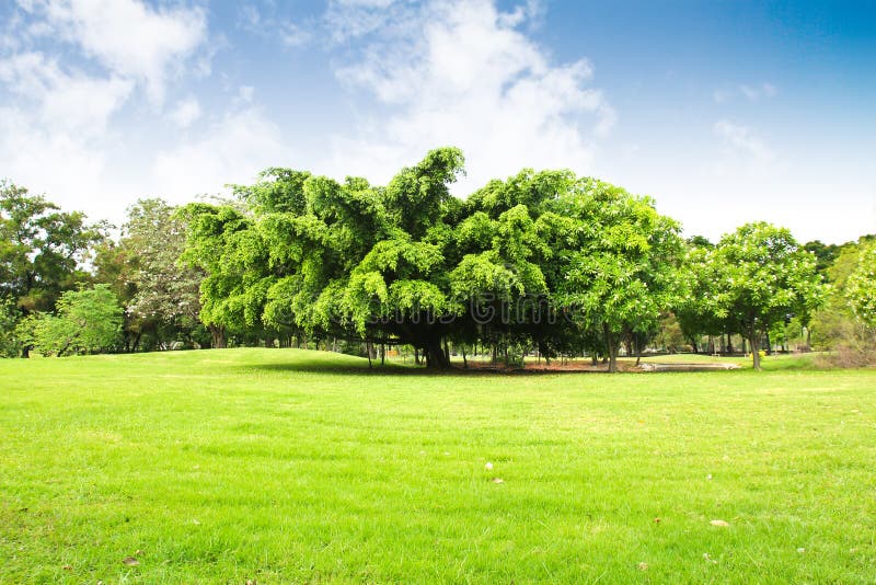 Parc vert de ville image stock. Image du lame, construction - 33750861