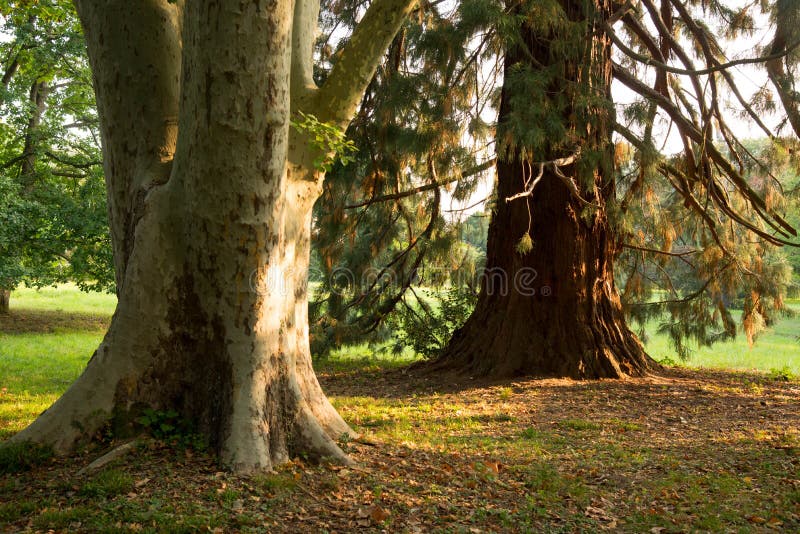 Parc of Windeck in Ottrott in Alsace Editorial Photography - Image of ...