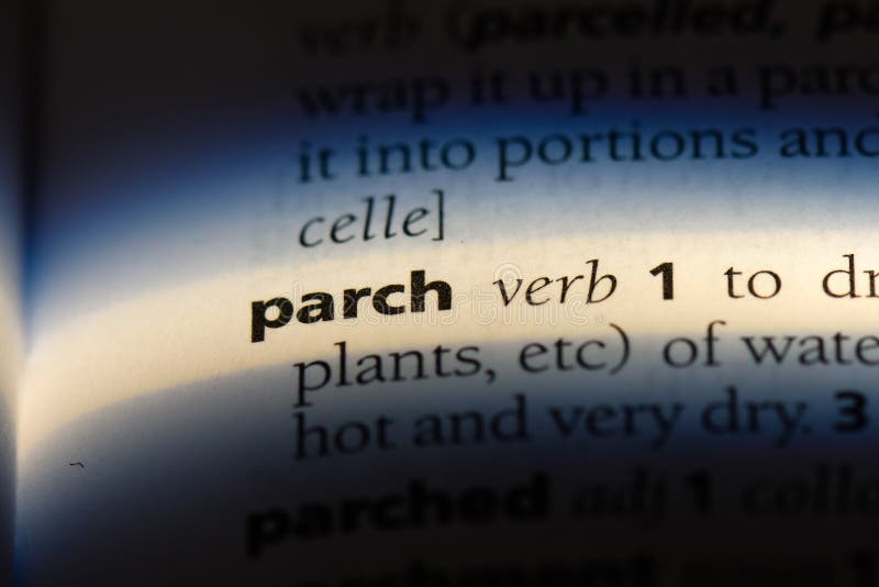Parch stock image. Image of closeup, concept, parch - 126549359
