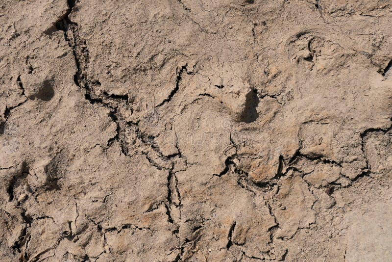 Parched, Cracked Riverbed during Drought in Portugal. Top Down View ...