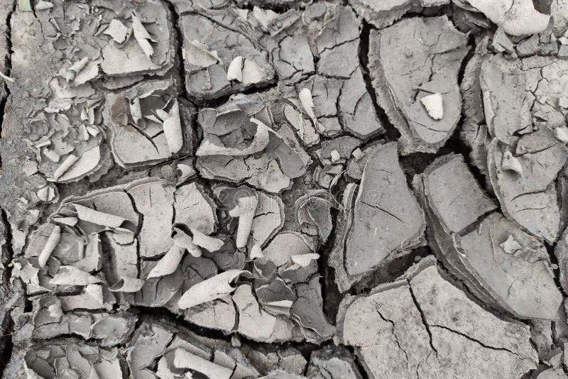 Parched, Cracked Soil in the Hot Sun Texture and Pattern. Stock Photo ...