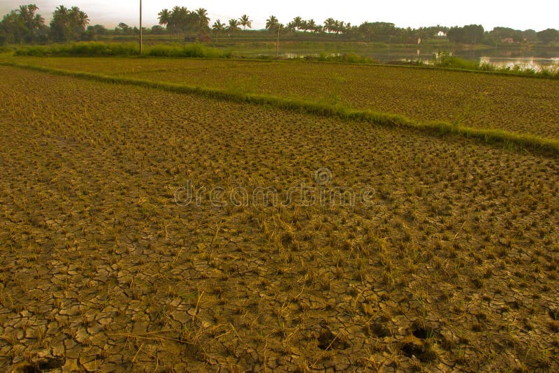 Parched Earth stock image. Image of countryside, agriculture - 12699417
