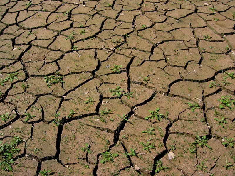 Parched earth stock image. Image of ground, weather, cracks - 190153