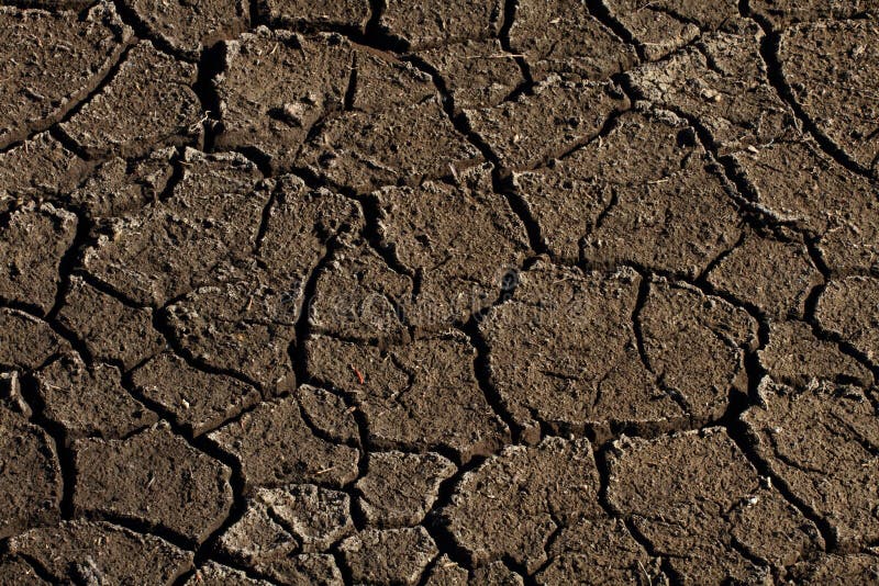 Parched Earth stock photo. Image of drying, cracked, drought - 22461934