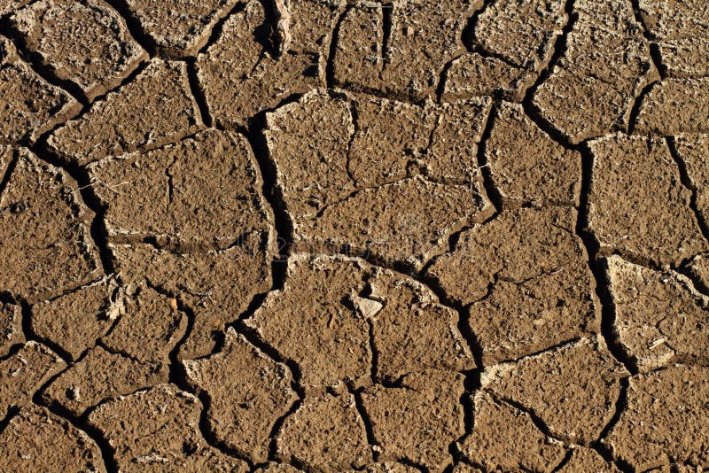 Parched Earth stock photo. Image of rock, grass, soil - 22461968