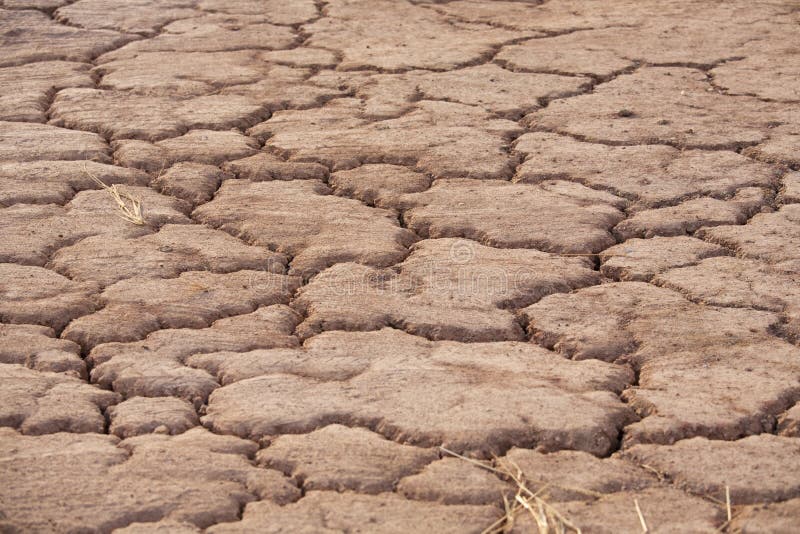 Parched earth stock photo. Image of climate, desert, cracked - 22568110