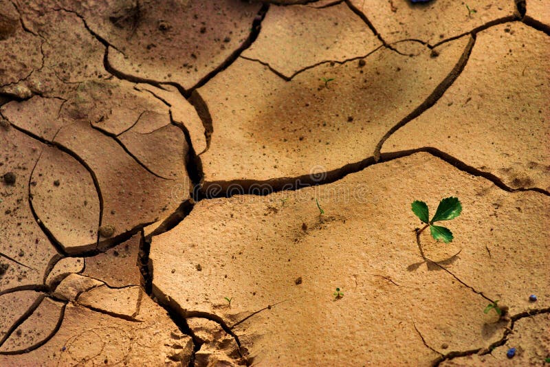 Parched Earth stock image. Image of farming, ground, drought - 4554315