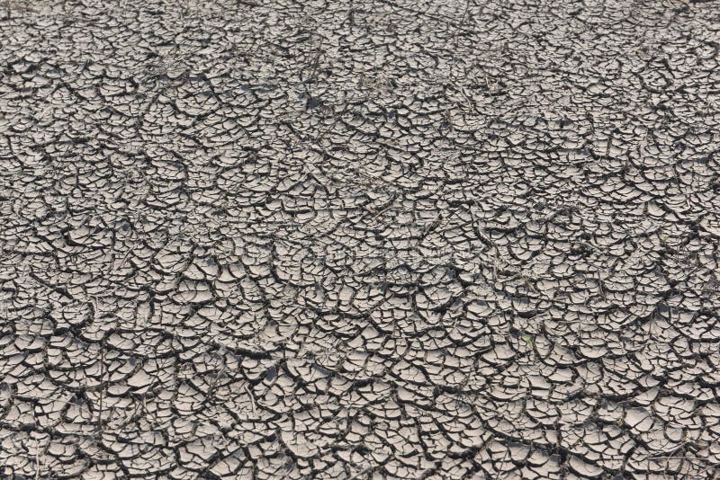 Patterns in parched ground stock image. Image of earth - 3298843