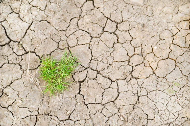 Parched ground stock image. Image of global, future, ecology - 26640757