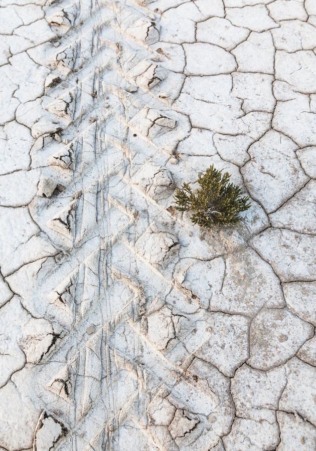 Parched ground stock image. Image of natural, drought - 52627619