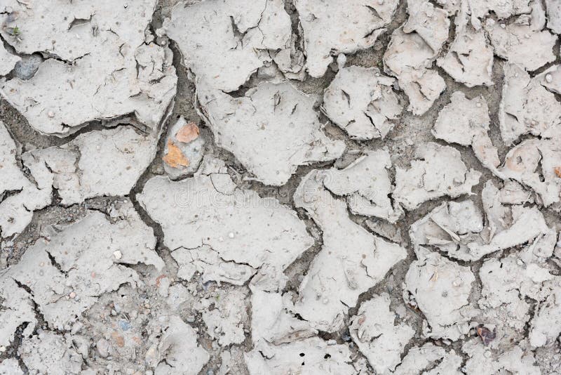 The Parched Ground with Two Brown Leaves Stock Image - Image of detail ...
