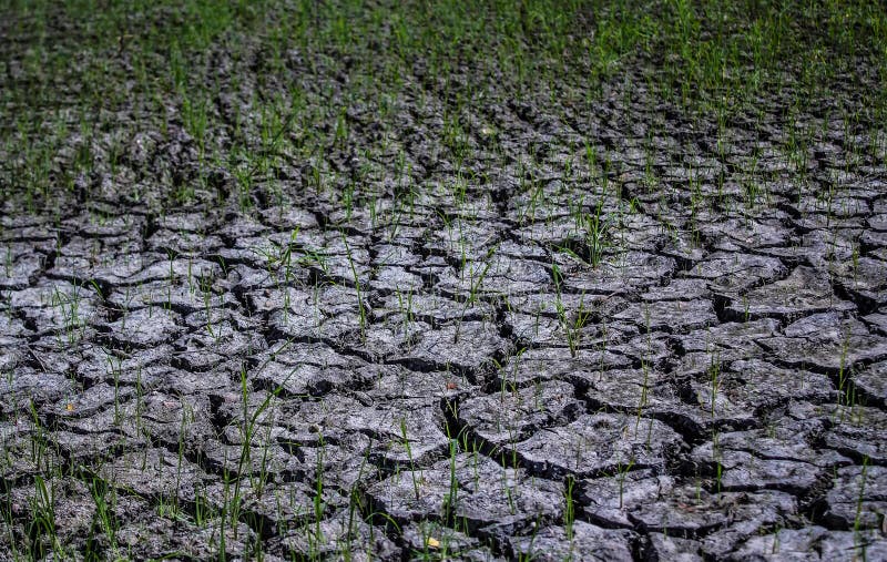 Parched land stock image. Image of desolation, geology - 71762883