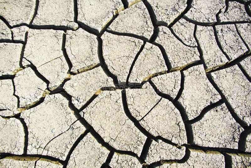 Parching Stock Photos - Free & Royalty-Free Stock Photos from Dreamstime