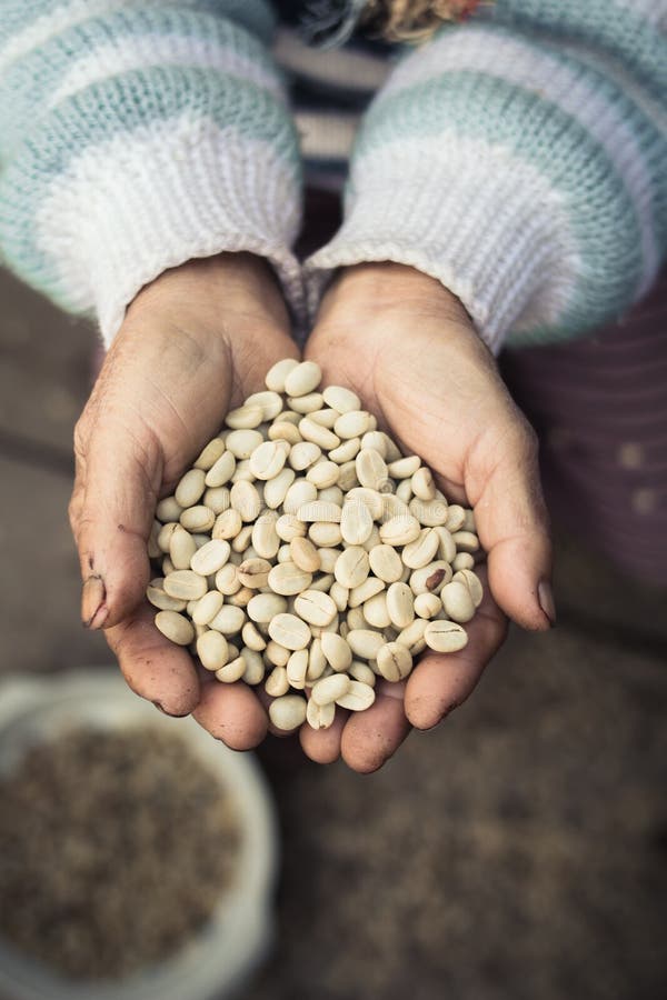 Parchment coffee in hand stock image. Image of arabica - 108204341