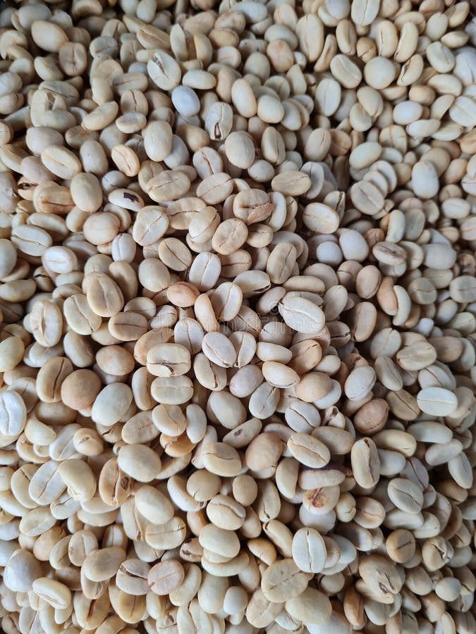 Parchment Coffee stock photo. Image of coffee, closeup - 298463258