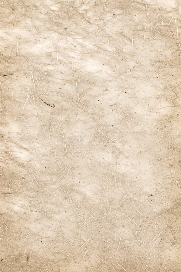 Parchment paper background stock photo. Image of sepia - 16306780