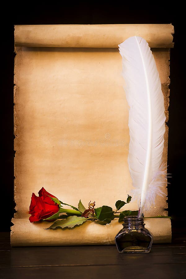 Parchment Scroll, Red Rose and Feather Stock Image - Image of hand ...