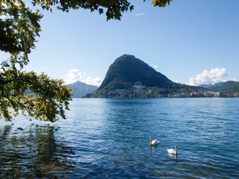 Parco Ciani E Vista Del Lago Immagine Stock - Immagine di pace, europa ...