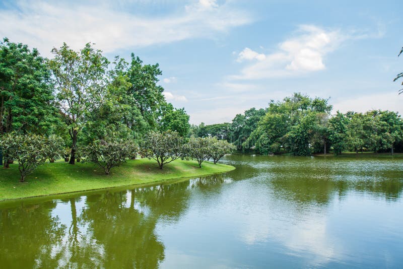 Parco con il lago fotografia stock. Immagine di estate - 53958606
