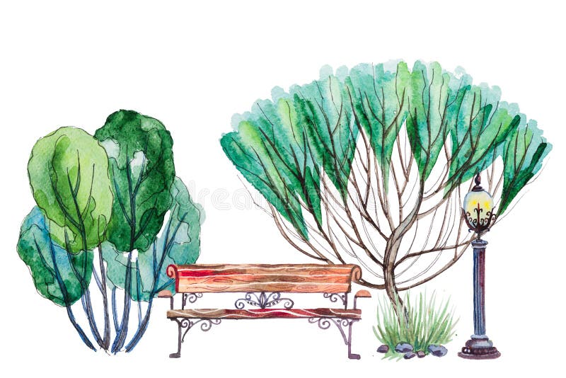 Parco Dell'acquerello Con Gli Alberi Verdi Illustrazione di Stock ...