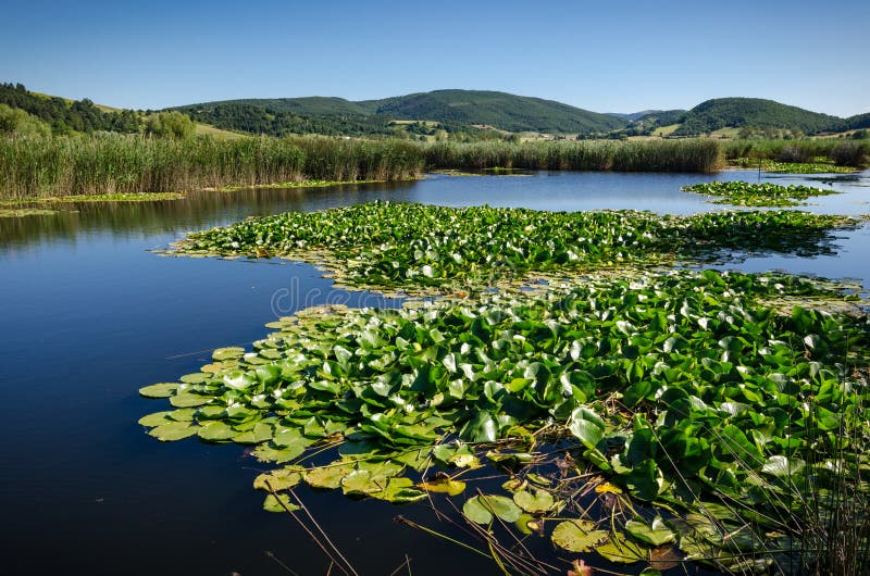 Parco Di Colfiorito (Umbria) Stock Image - Image of italy, landscape ...