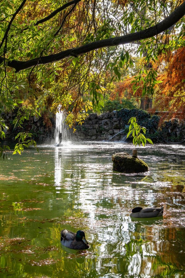 Parco Ducale Estense, Emilia Romagna Stock Photo - Image of europe ...