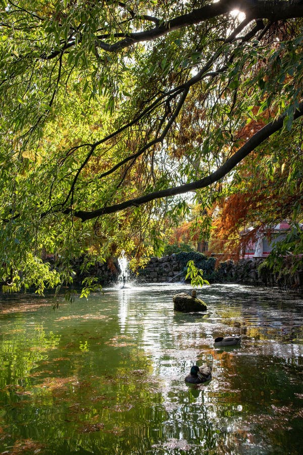 Parco Ducale Estense, Emilia Romagna Stock Photo - Image of ...