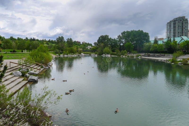 Parco e lago a Calgary immagine stock. Immagine di canada - 82725757