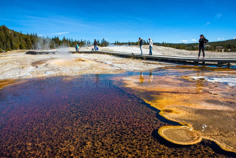 Parco Nazionale Di Yellowstone Fotografia Editoriale - Immagine di ...