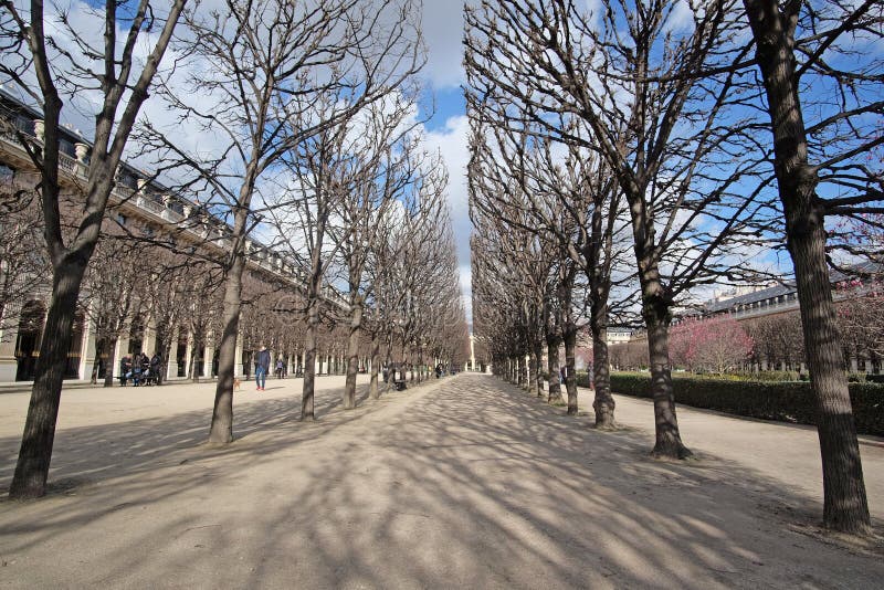Parco in Un Centro Di Parigi Immagine Stock - Immagine di caduta ...