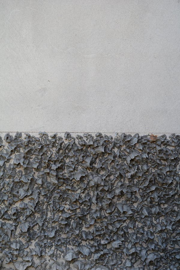 Pared con el cemento imagen de archivo. Imagen de cemento - 49528475