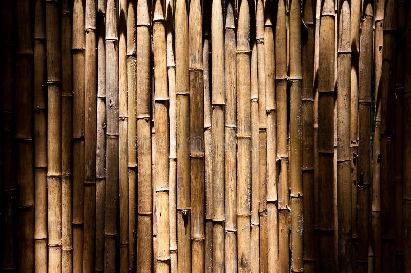 Pared de bambú imagen de archivo. Imagen de madera, junto - 11089817
