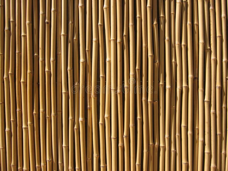 Pared de bambú imagen de archivo. Imagen de oriente, modelo - 1275903