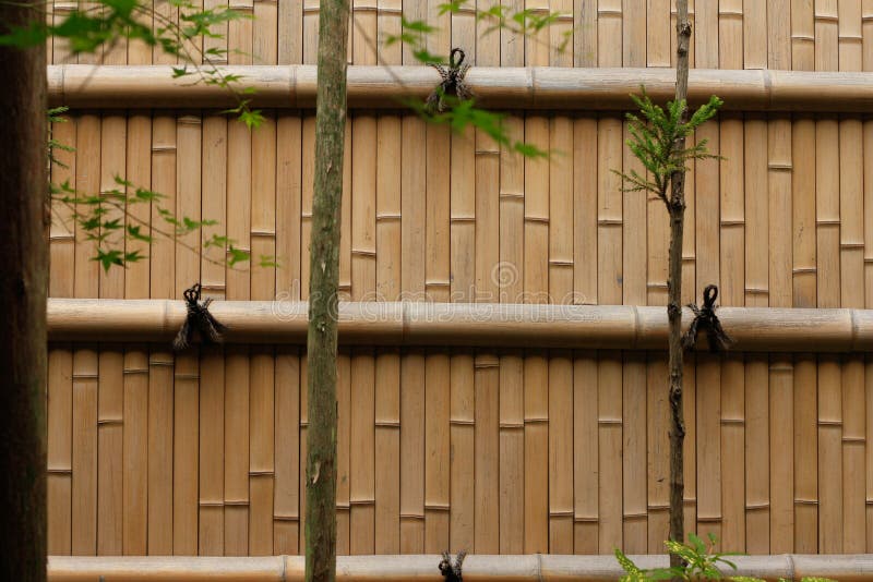 Pared de bambú imagen de archivo. Imagen de osaka, fosas - 65556669