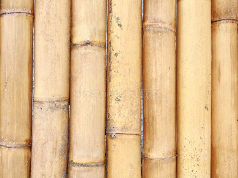 Pared de bambú grande foto de archivo. Imagen de rayas - 14396266