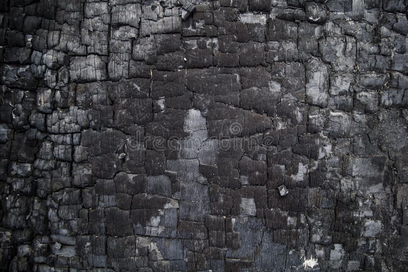 Textura De Madera Quemada De La Pared Foto de archivo - Imagen de ...