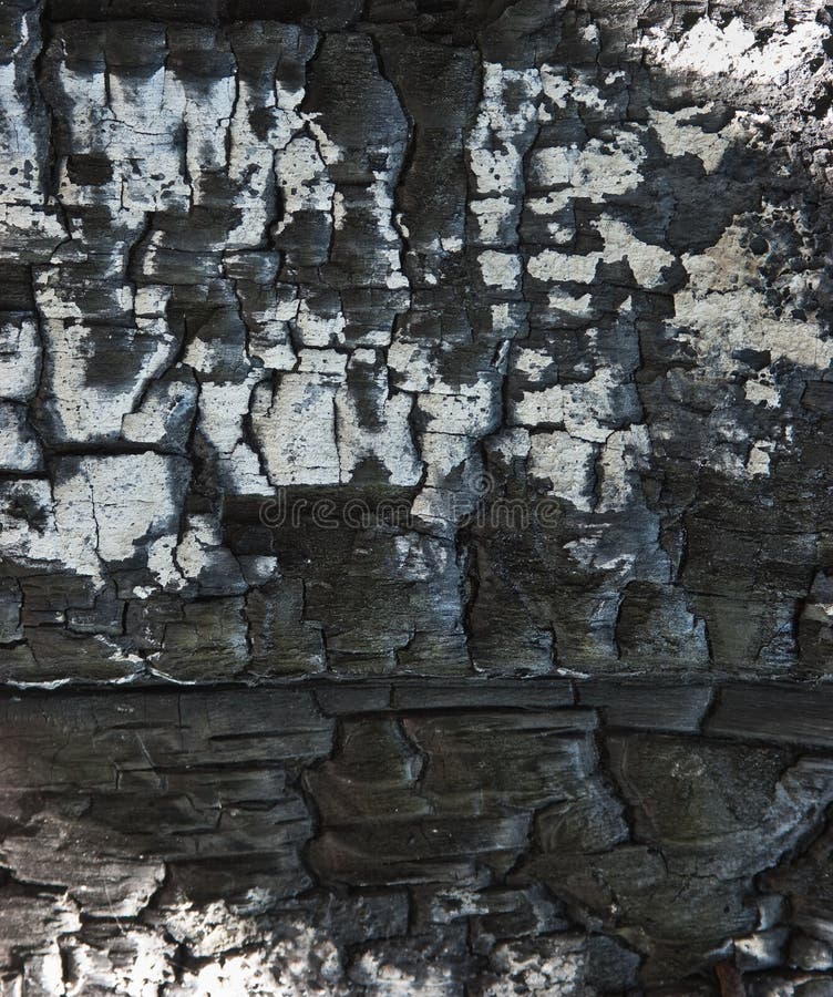 Pared quemada foto de archivo. Imagen de quemado, pared - 273230