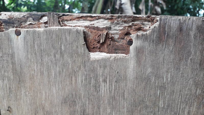 Pared De Madera Rota En El Pueblo Foto de archivo - Imagen de roca ...