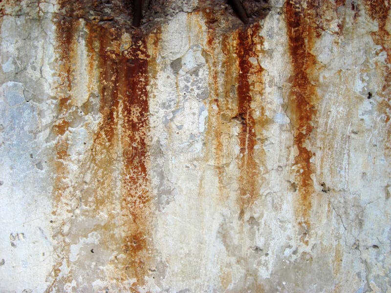 Fondo del moho imagen de archivo. Imagen de macro, asombroso - 52018361