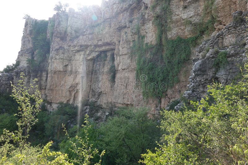 Pared rocosa y plantas foto de archivo. Imagen de plantas - 207962404
